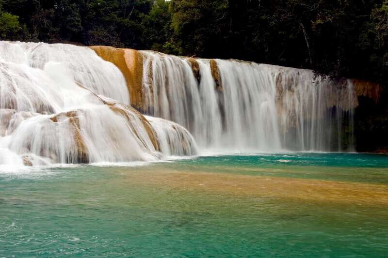 Tuxtla Gutierrez: Palenque Ruins Day Tour with Breakfast - Key Points