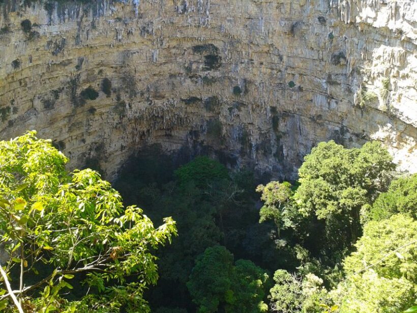 Tuxtla Gutiérrez: Sinkhole of Parrots Full-Day Rappel - Key Points