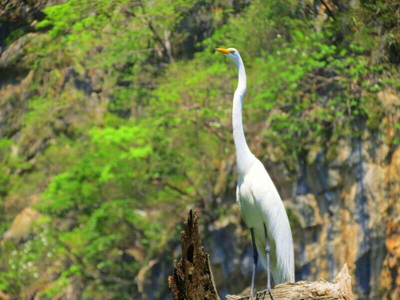 Tuxtla: Sumidero Canyon, San Juan Chamula & Zinacantán Tour - Logistical Details and Overall Flow