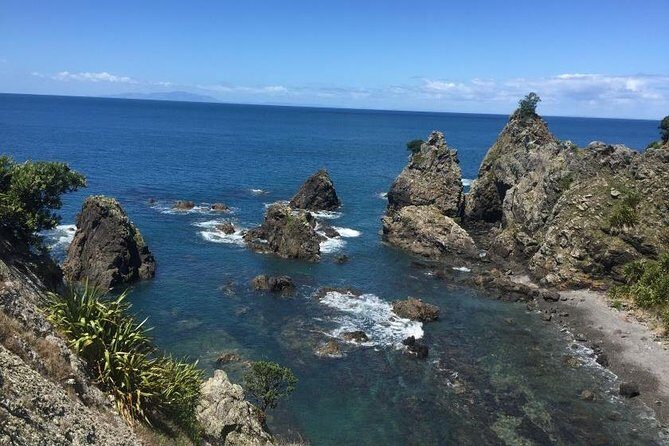 Twharanui- Get away from it all and experience New Zealand at its best - private tour - Exploring the Itinerary in Detail