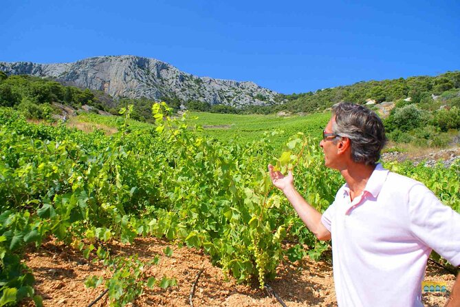 Twice the Wine - Two Wineries Half Day Tour, With Delicacies - Taking in the Winemaking Process