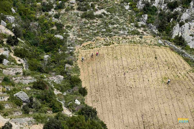 Twice the Wine - Two Wineries Half Day Tour, With Delicacies - Intimate and Personalized Tour