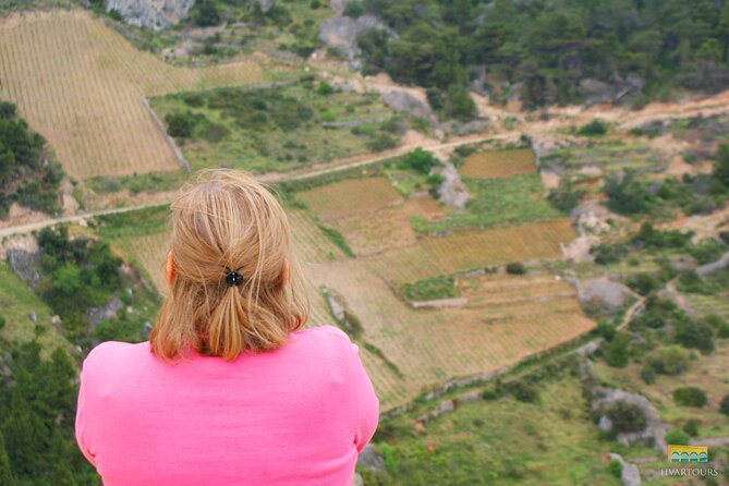 Twice the Wine - Two Wineries Half Day Tour, With Delicacies - Convenient Transportation and Safety Measures