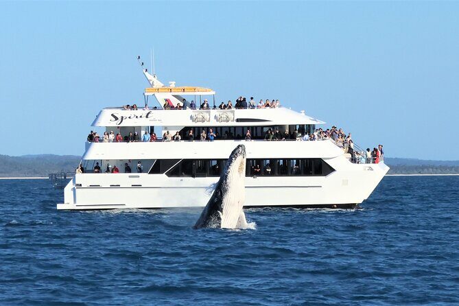 Twilight Bay Cruise in Hervey Bay - Who Will Love This Cruise?