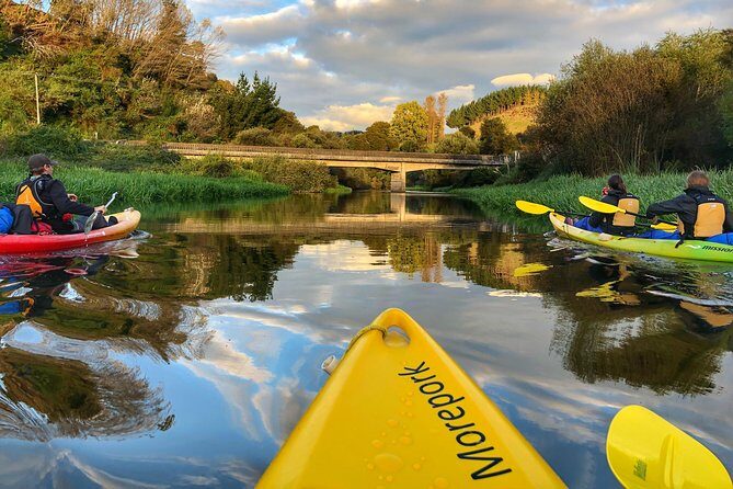 Twilight Glowworm Kayak Tour  Lake Karapiro - The Experience in Context