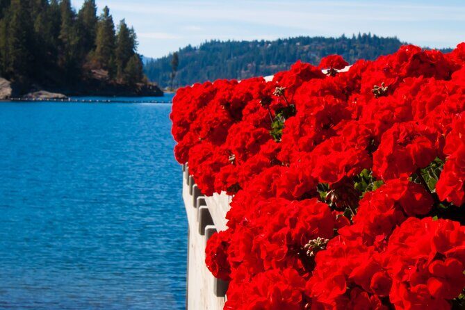 Twilight Rydables Guided Tours Evening Adventure in Coeur d'Alene - The Experience Through the Eyes of Other Travelers