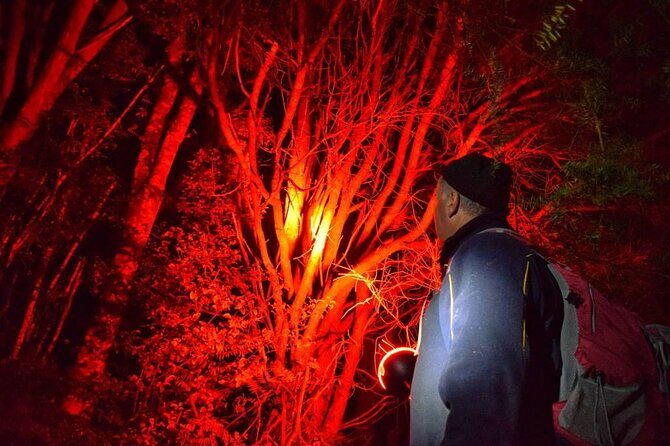 Twilight Wild Kiwi Bird Encounter Private Tour - Authentic Experiences and Traveler Feedback