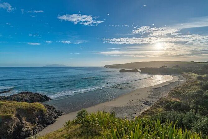 Twilight Wild Kiwi Bird Encounter Private Tour - Who Will Love This Tour?