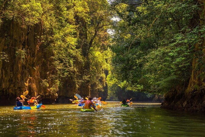 Twiligth Sea Canoe and Bioluminescent Plankton - An In-Depth Look at the Experience