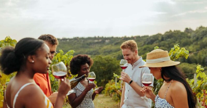 Twin Falls: Guided Half-Day Scenic Tour and Wine Tasting - Key Points