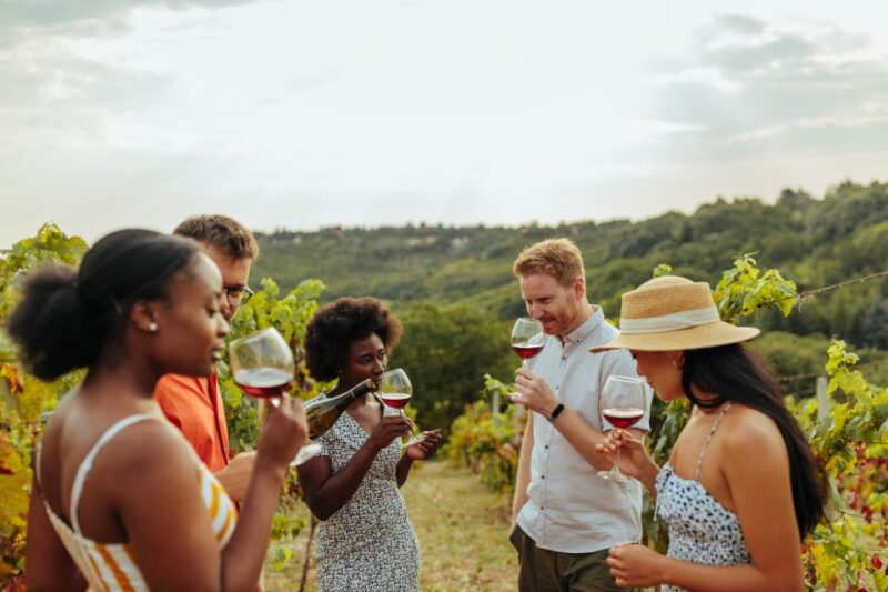 Twin Falls: Guided Half-Day Scenic Tour and Wine Tasting - A Deep Dive Into the Tour Experience