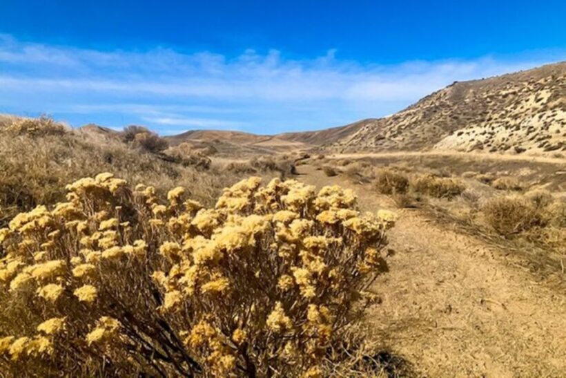 Twin Falls: Off the Beaten Path Guided Half-Day Tour - The Sum Up