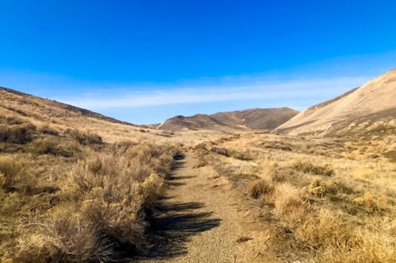 Twin Falls: Off the Beaten Path Guided Half-Day Tour - FAQs