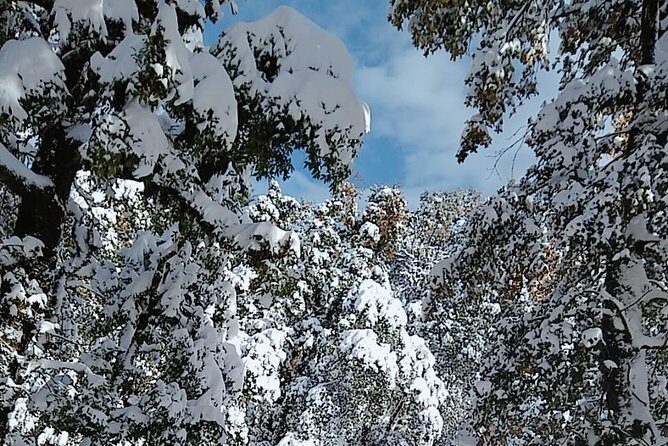 Two day guided trekking of Budher Caves, Deoban and Tigerfall Falls, Chakrata - What to Expect from This Trekking Experience