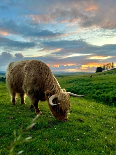 Two Day Taster Tour of Skye and the Highlands - Authentic Experiences and Authenticity