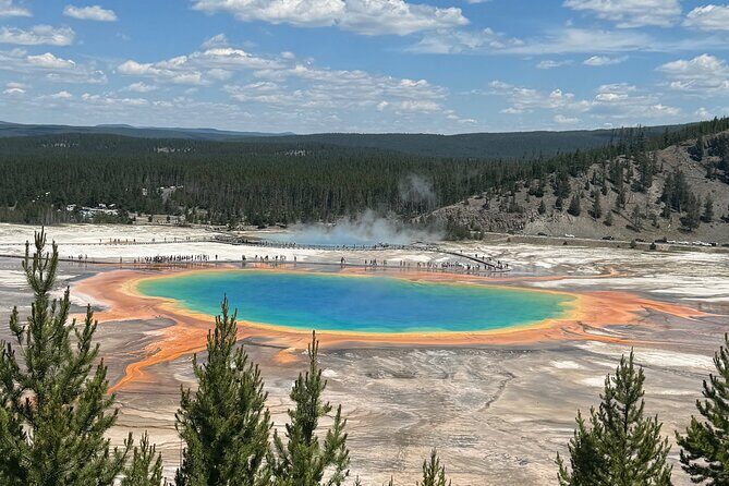 Two Day Yellowstone Tour: Upper & Lower Loop | Bozeman | PRIVATE - Final Thoughts