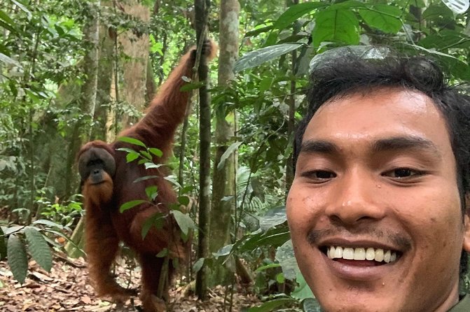 Two days orangutans adventure in Gunung Leuser - Practical Considerations