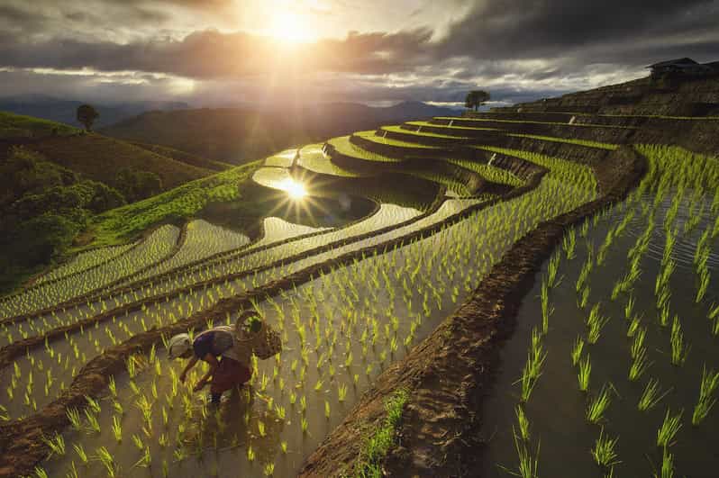 Two days Pa Pong Piang - The Itinerary in Detail