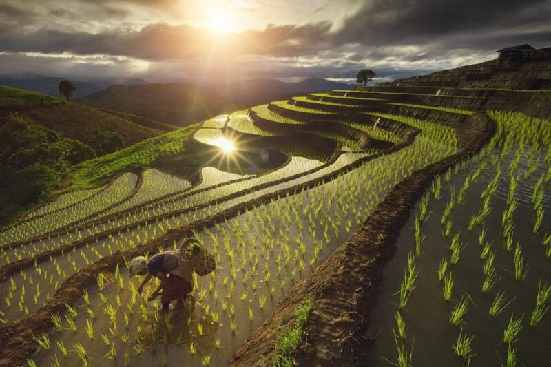 Two days Pa Pong Piang - Authentic Experiences and Cultural Insights