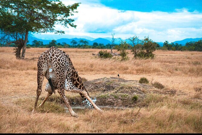 Two Days Safari by Train - Day 2: Culture and More Wilderness