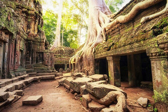 Two-days tour discovering Angkor Wat and Beng Mealea Temple - Final Thoughts