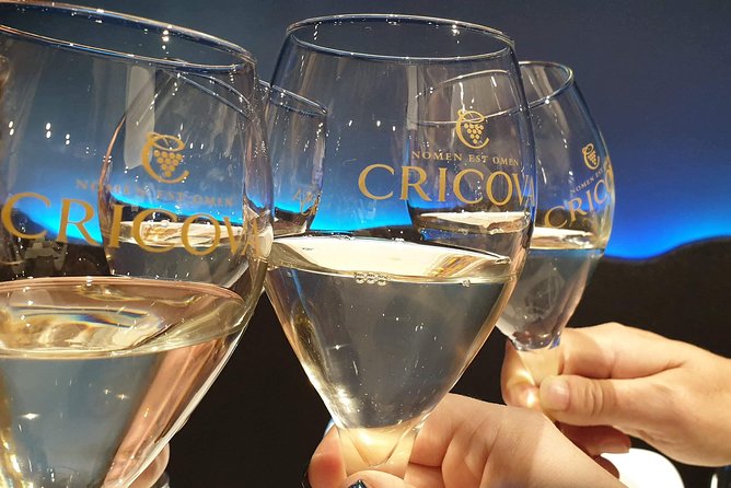 Two days trip to the Republic of Moldova from Iasi - Who Should Consider This Tour?