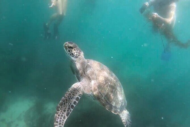 Two Hour Kayak and Snorkel Tour for Two in La Jolla - Who Should Consider This Tour?