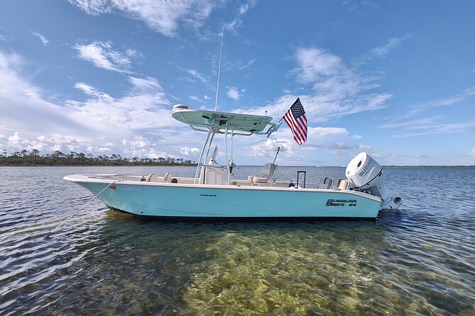 Two Hour Private Sightseeing/Dolphin Tour in Panama City Beach - Key Points