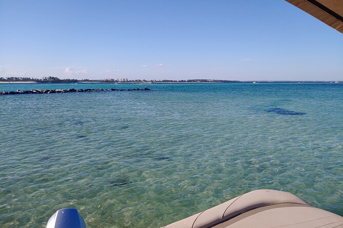 Two Hour Private Sightseeing/Dolphin Tour in Panama City Beach - Who Will Love This Tour?