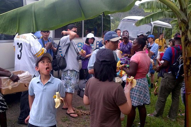 Two-hour Tour and Beach Break Family Groups only - The Sum Up: Who Should Consider This Tour?