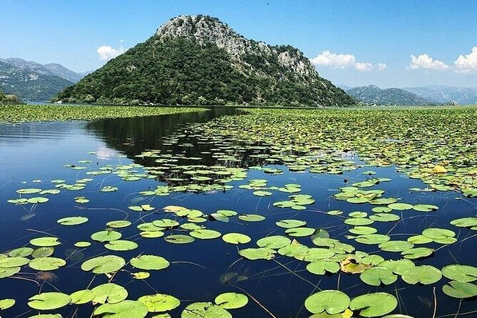 Two Hours Sightseeing Lake Cruise at Montenegro National Park - Why Travelers Love This Tour