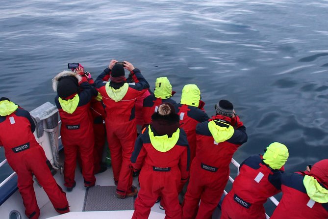 Two-In-One: Whale & Puffin Watching Tours From Reykjavik - Customer Feedback