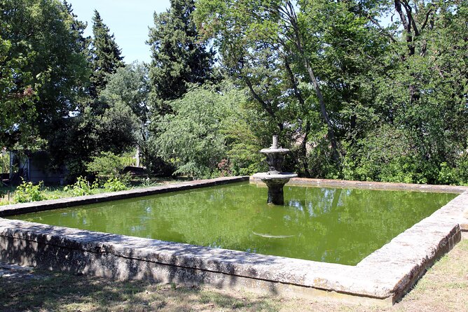 Two Intensive Days Discover Exceptional Wines of the Rhône Valley - Transportation and Comfort During the Tour