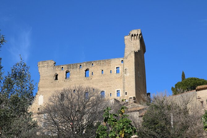 Two Intensive Days Discover Exceptional Wines of the Rhône Valley - Accessibility Considerations for Travelers