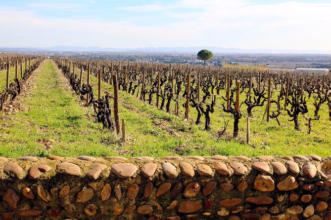 Two Intensive Days Discover Exceptional Wines of the Rhône Valley - Recommendations for Future Visits and Activities