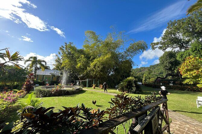 Two Islands One Paradise private Tour of St Kitts and Nevis - Practical Tips and Considerations