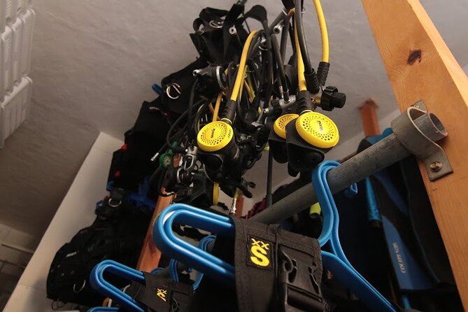 Two Morning Dives in Gozo for Certified Diver - Meeting Point and Start Time