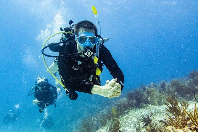 Two reef discovery dives with professional instructor (no experience necessary) - A Detailed Look at the Experience