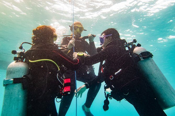 Two reef discovery dives with professional instructor (no experience necessary) - The Value Proposition
