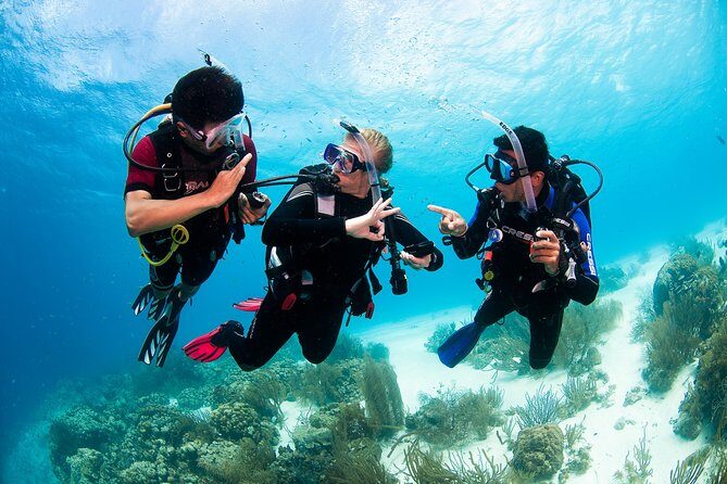 Two reef discovery dives with professional instructor (no experience necessary) - Who Should Book This Experience?