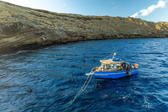 Two Site Snorkeling Adventure featuring the Molokini Crater - What to Expect from the Tour