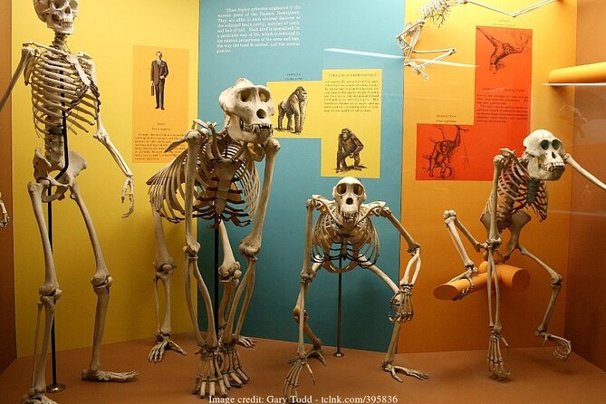 Two Smithsonian Museums Private Tour: American & Natural History - The Authentic Experience