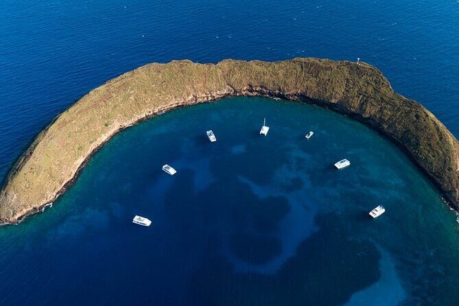 Two Stop Snorkel Adventure from Maui - What to Expect on This Maui Snorkel Adventure