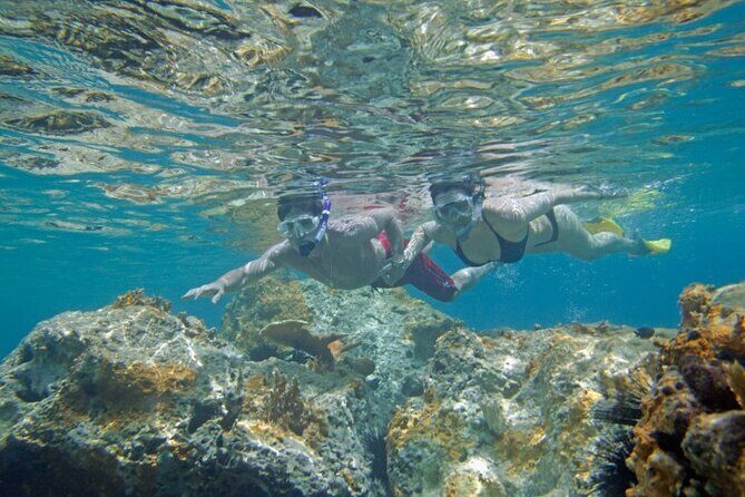 Two Stop Snorkel and Shipwreck from Dockyard - A Close Look at the Bermuda Snorkeling Experience
