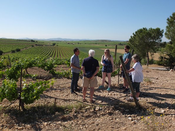 Two Wineries Tour With Wine Tasting (Private Tour) - Health and Safety Information