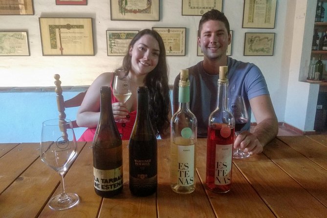 Two Wineries Tour With Wine Tasting (Private Tour) - Wine Tasting and Winemaking Processes