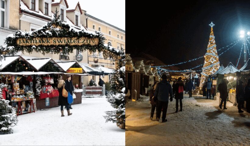Tychy: Brewery Museum Tour with Tastings and Bison Reservoir - Who will love this tour?