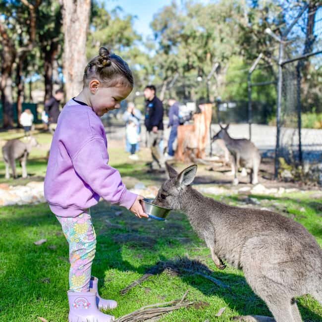 Tynong/Melbourne: Gumbuya World Theme Park Entry Ticket - The Practical Side: Visiting Gumbuya World