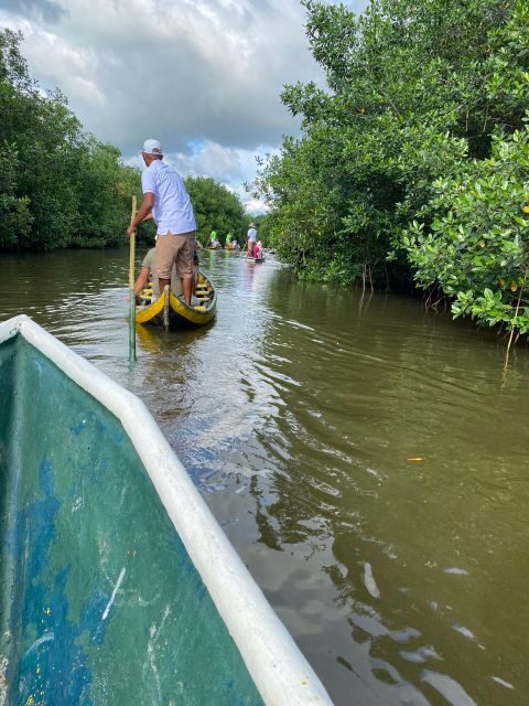 Typical lunch on beach, mangrove tour & fishing with natives - Key Points