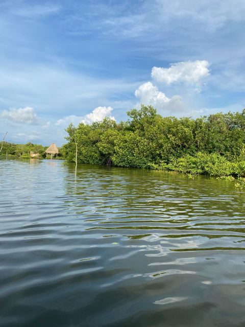 Typical lunch on beach, mangrove tour & fishing with natives - Authenticity and Cultural Significance